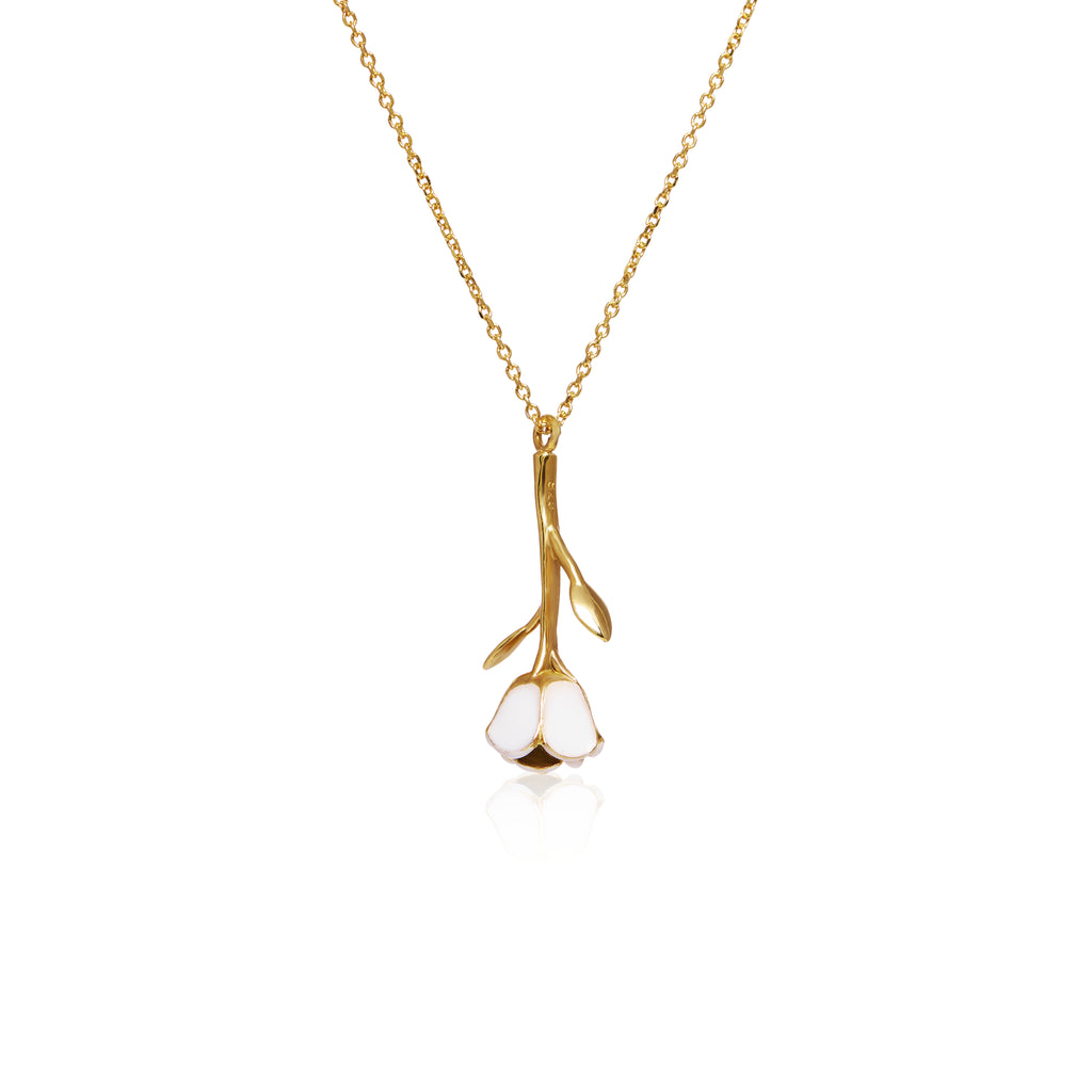 Bloom Evolution – Pure White – Doukissa Nomikou